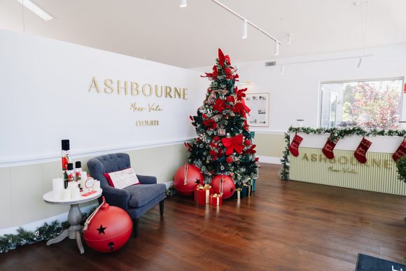 🎅 Christmas Magic Awaits at Ashbourne! 🎅 - ashbourne-stage-2